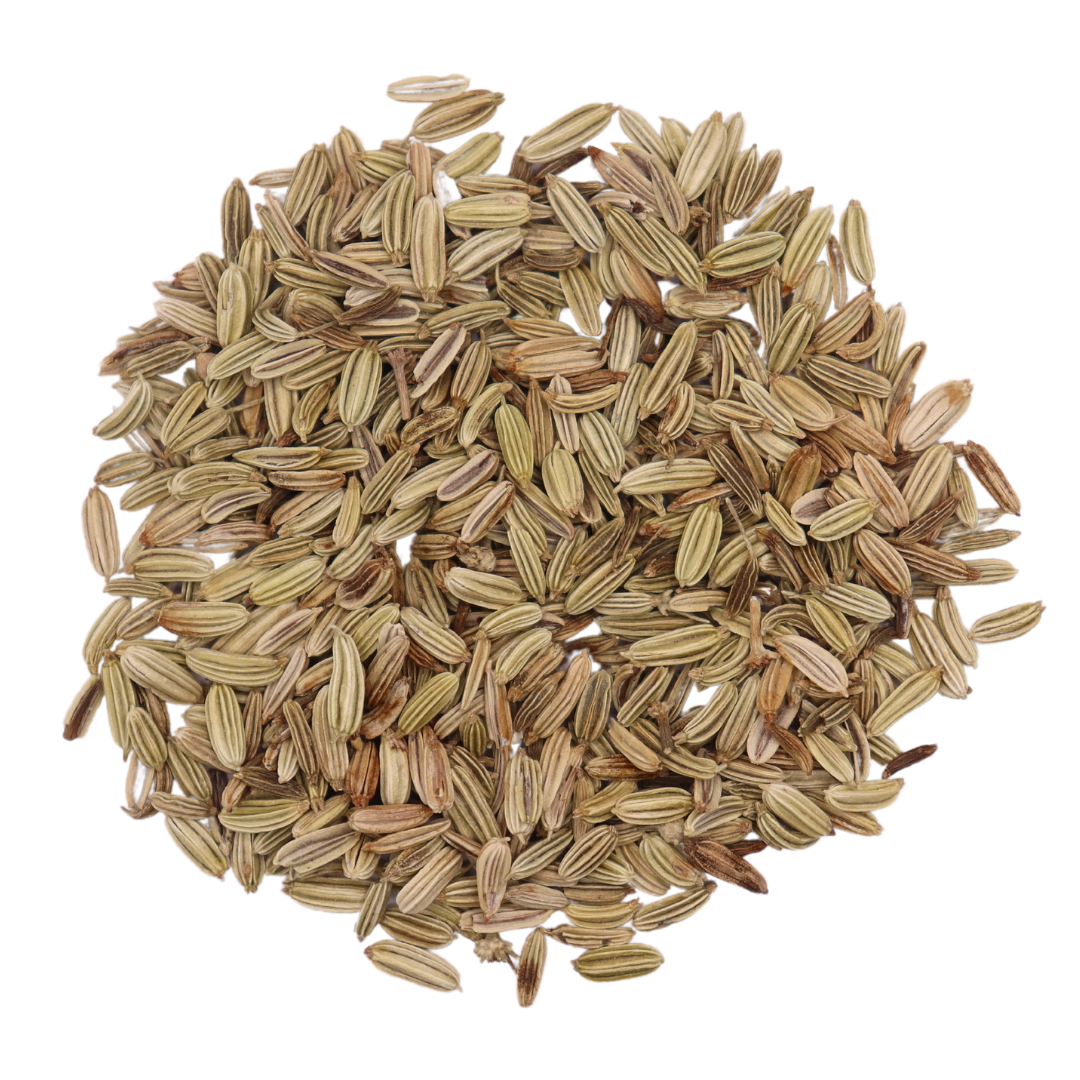 Fennel Seeds, Whole (Foeniculum vulgare) – Bulk Herb & Spice for ...