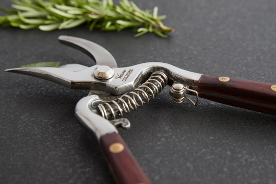 Thai Kitchen Garden Shears – Farmhouse Teas